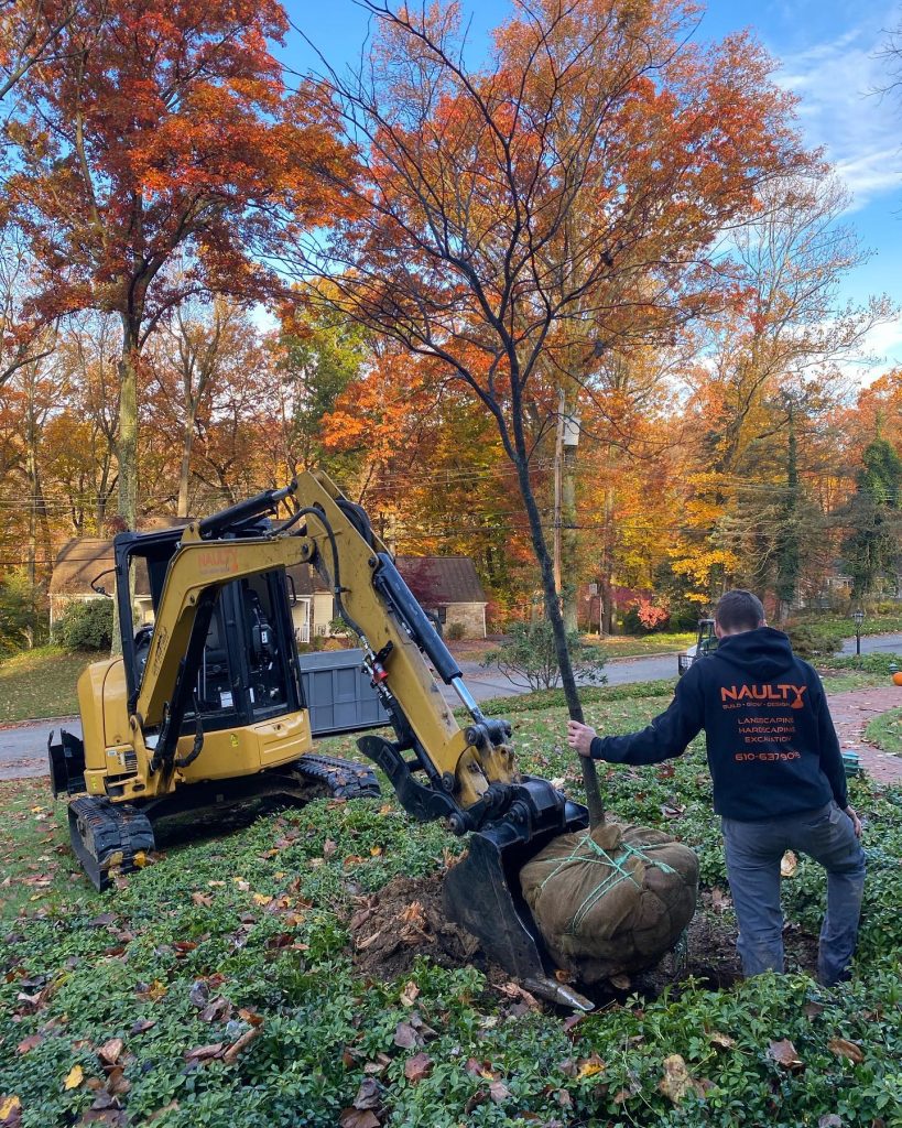 Landscape Design | Naulty Nature Scapes | Mainline Commercial ...